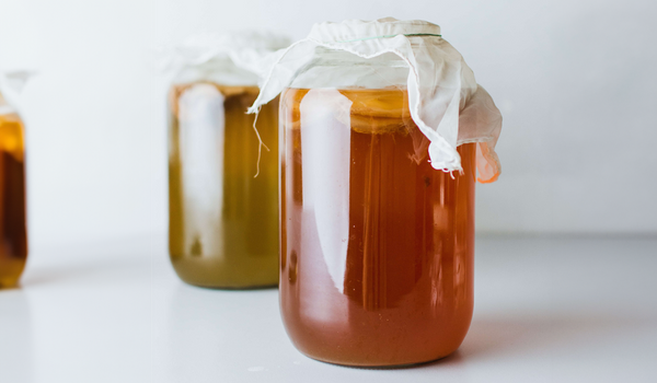 Kombucha: What Is It and What Are Its Health Benefits? | Biora